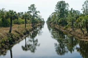 Top Free Boondocking Locations in Florida for RV Adventurers
