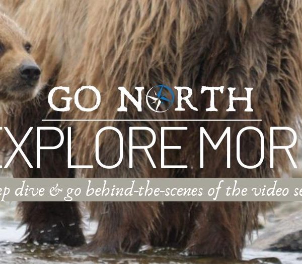 Go North - The Movie - Mortons on the Move