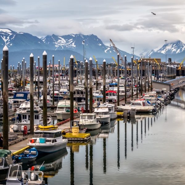 15 Best Things to Do in Homer, Alaska