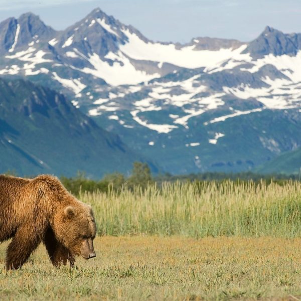How Big Is Alaska? It's Hard To Believe