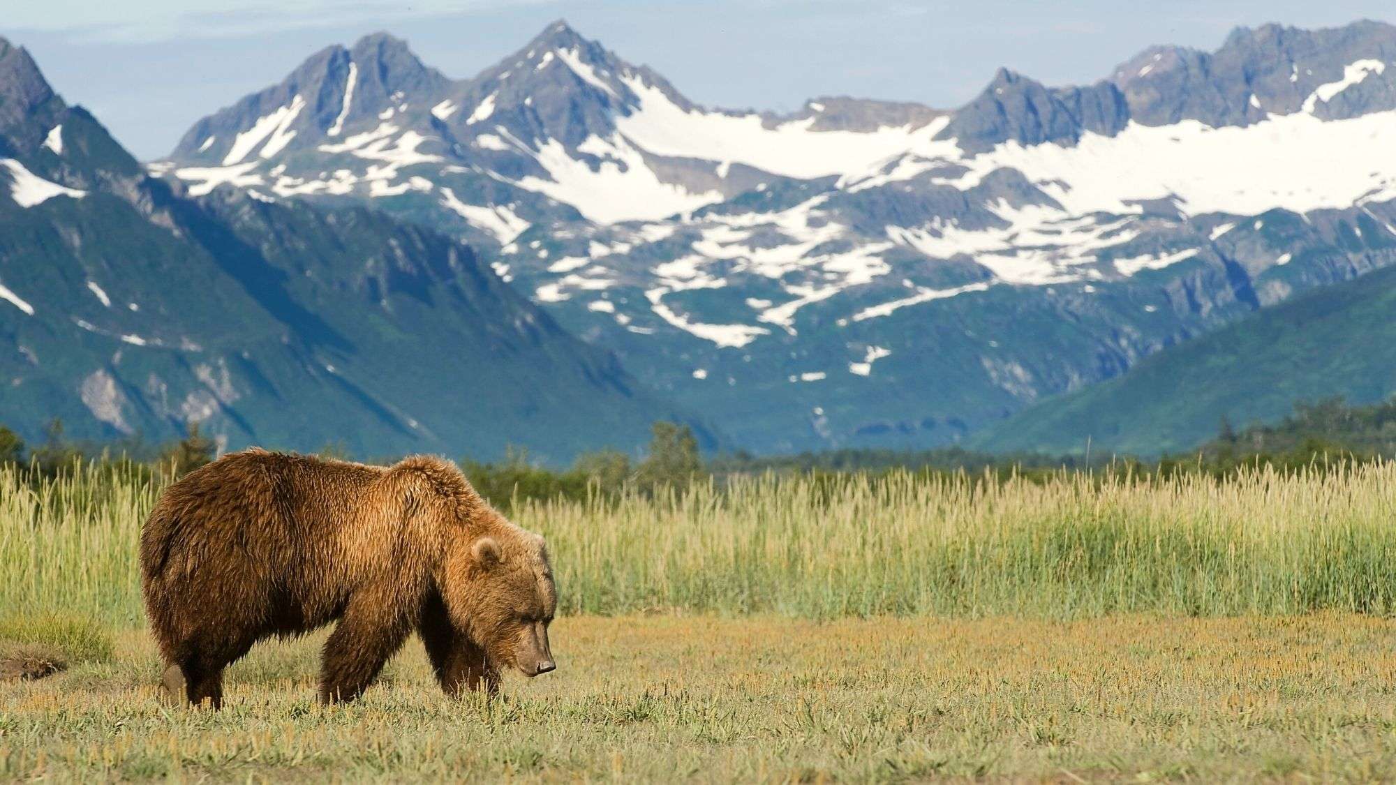 How Big Is Alaska? It's Hard To Believe