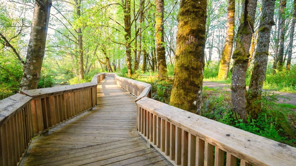 National Wildlife Refuges: Quiet, Scenic Stops Every RVer Should Know