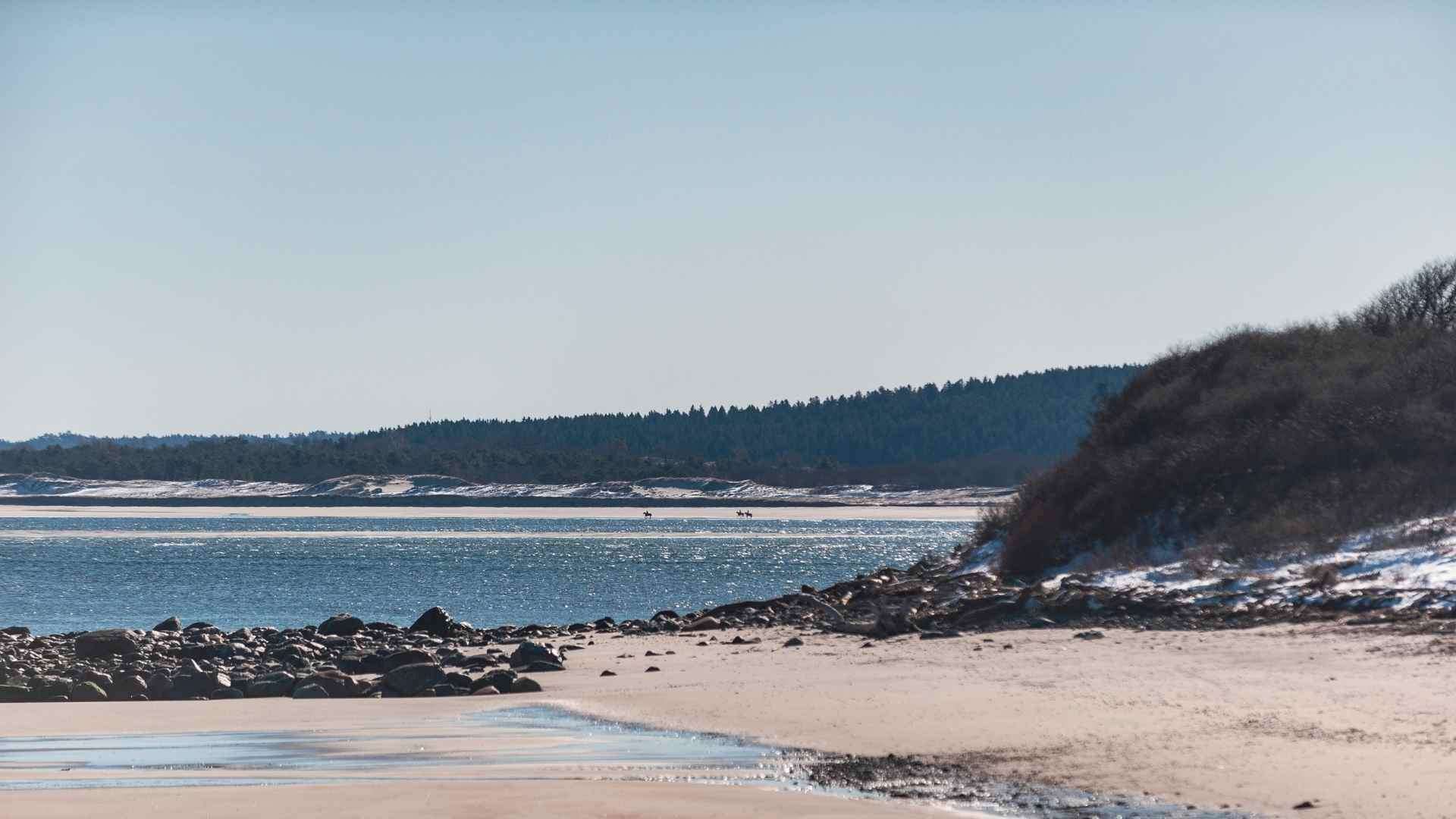 How to Spend a Day in Parker River National Wildlife Refuge