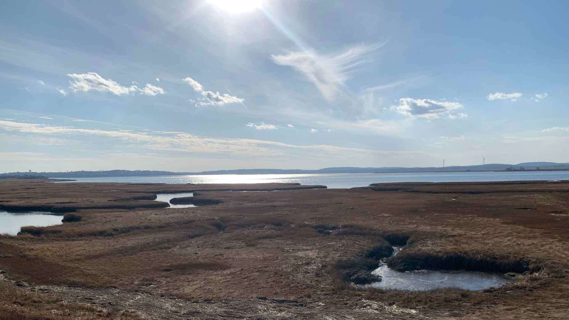 How to Spend a Day in Parker River National Wildlife Refuge