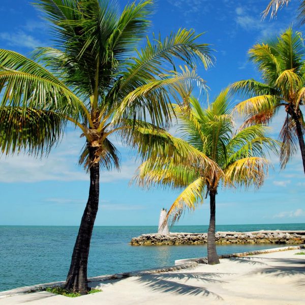 10 Best Florida Keys RV Parks for Tropical Camping (With Waterfront Views!)