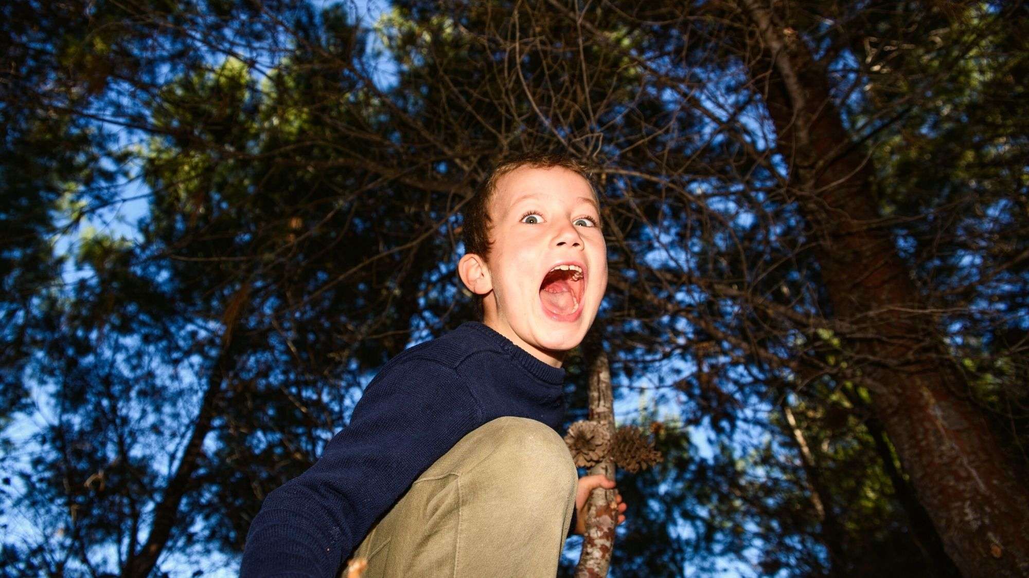 7 Best Ghost Stories for Kids for Around the Campfire