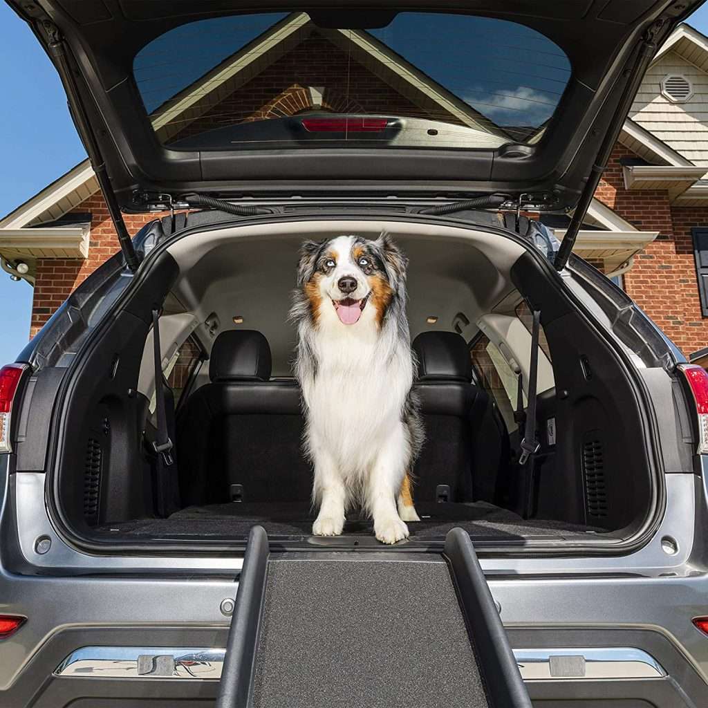5 Best RV Dog Ramps for Easy Camper Entry and Exit