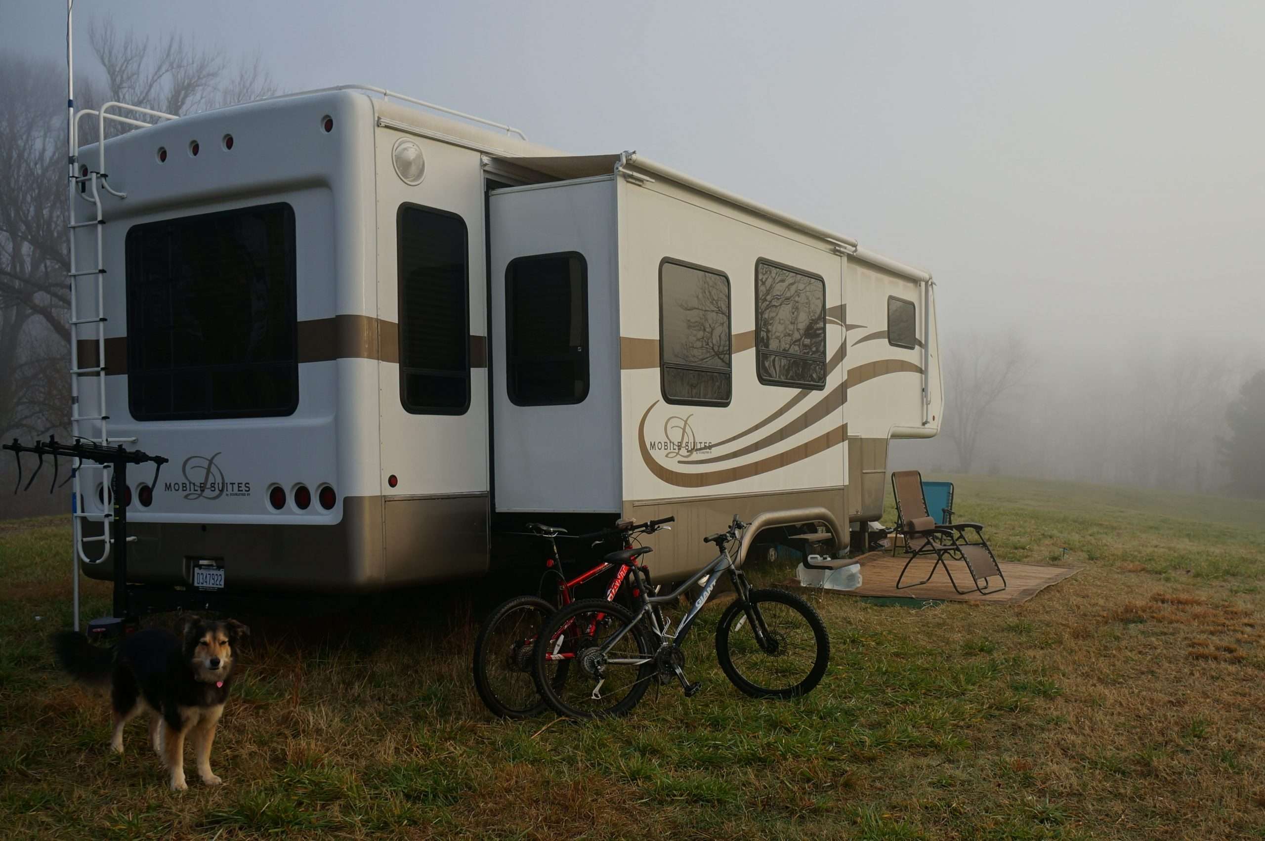 5 Best RV Dog Ramps for Easy Camper Entry and Exit