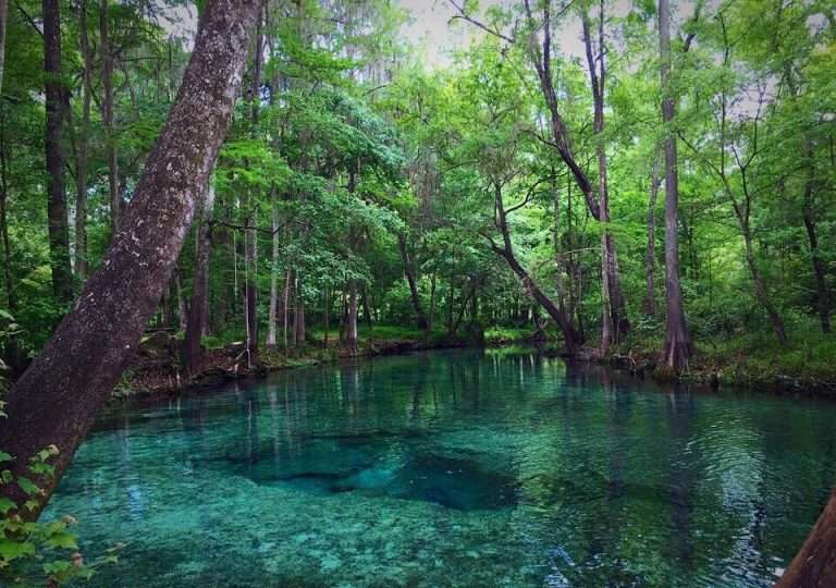 8 Most Amazing Florida Springs Camping Spots