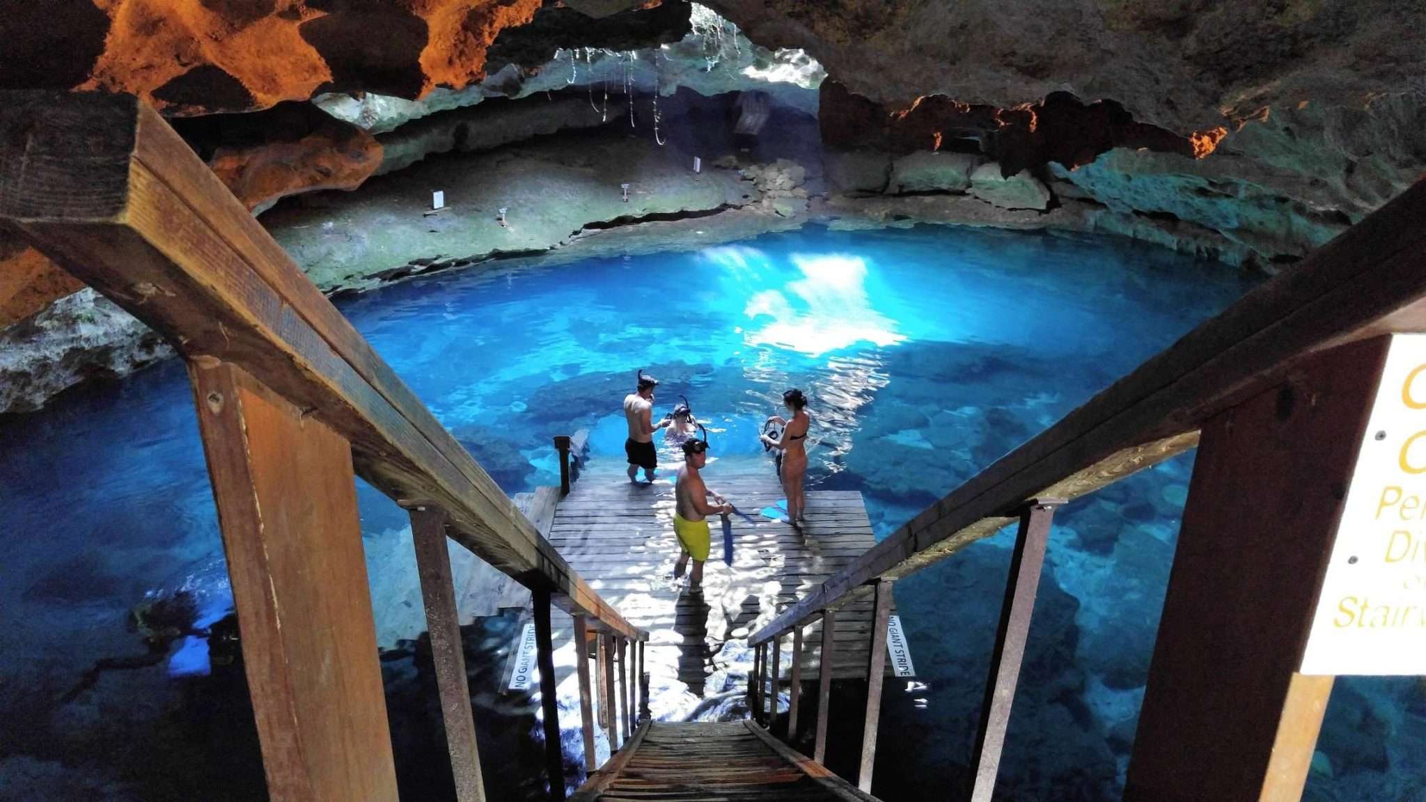 5 Reasons to Explore Devil's Den in Florida