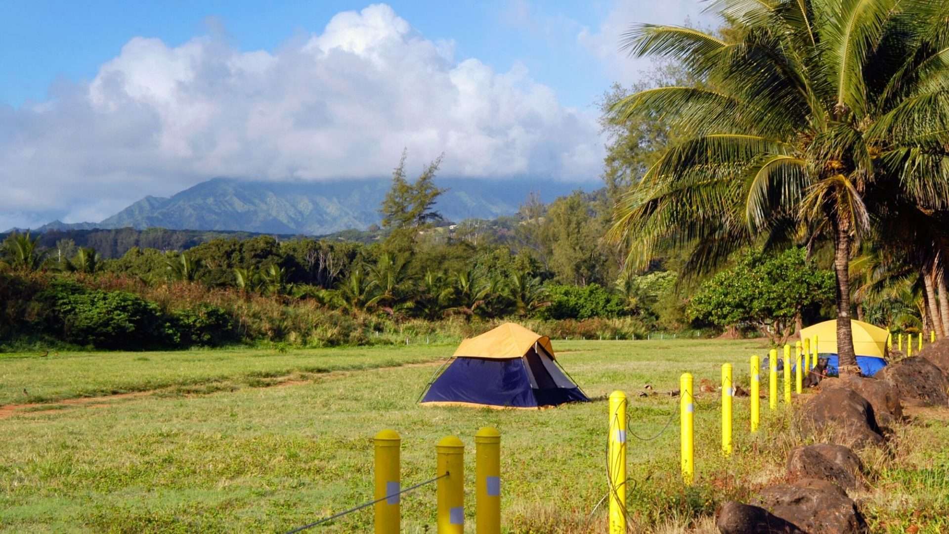 How to Go Camping on Kauai: Your Complete Guide