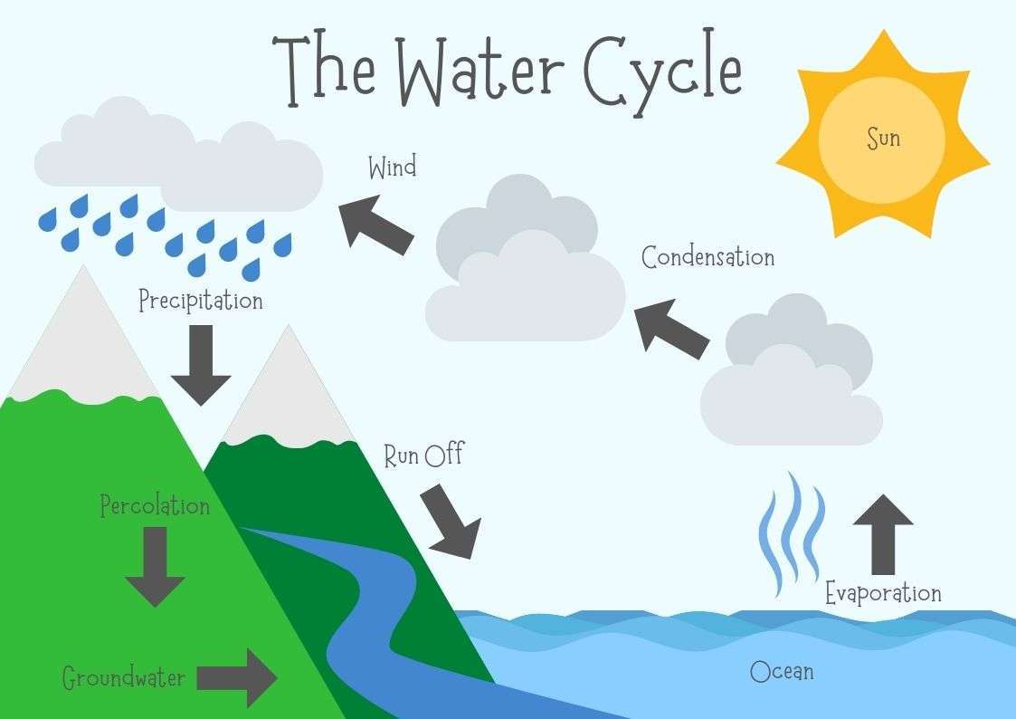 What Is a Rainwater Collection System?