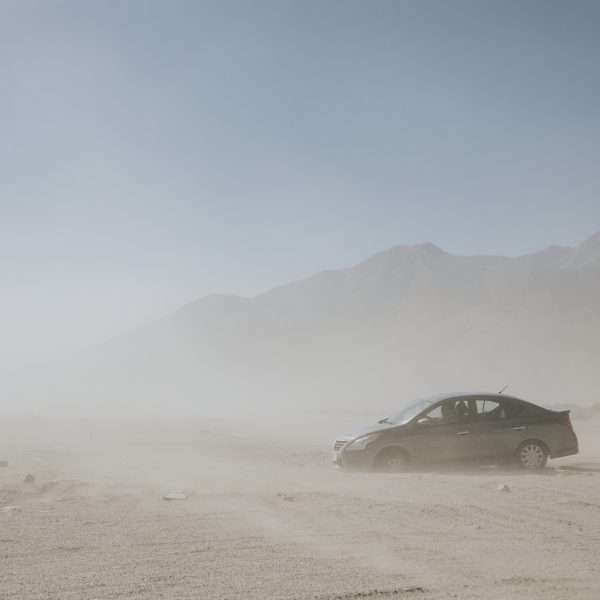 How to Survive a Sandstorm