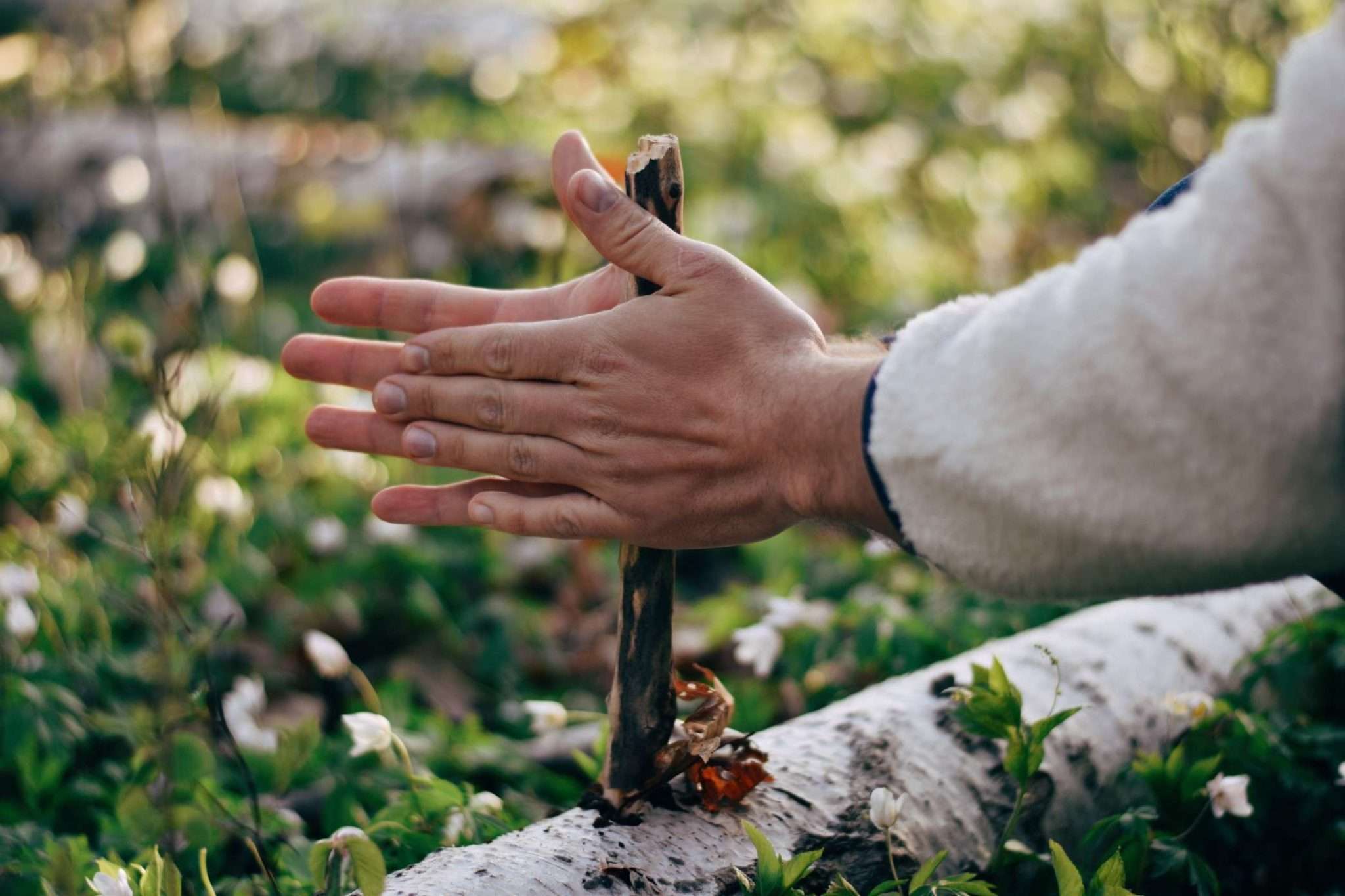 Everyone Should Know These Basic Survival Skills - Do You?