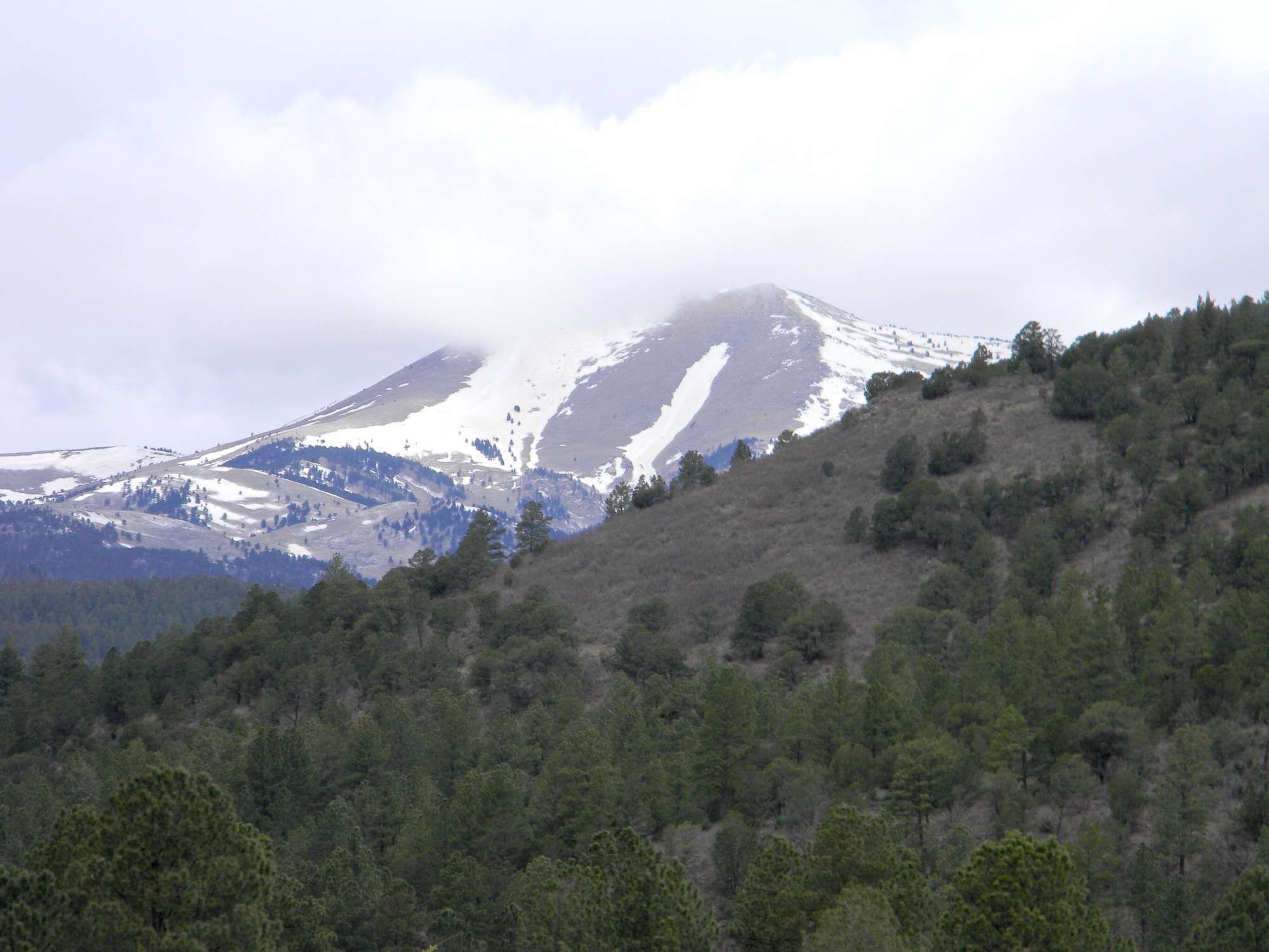 6 Best Ruidoso RV Parks and Campgrounds for Your New Mexico Camping Trip