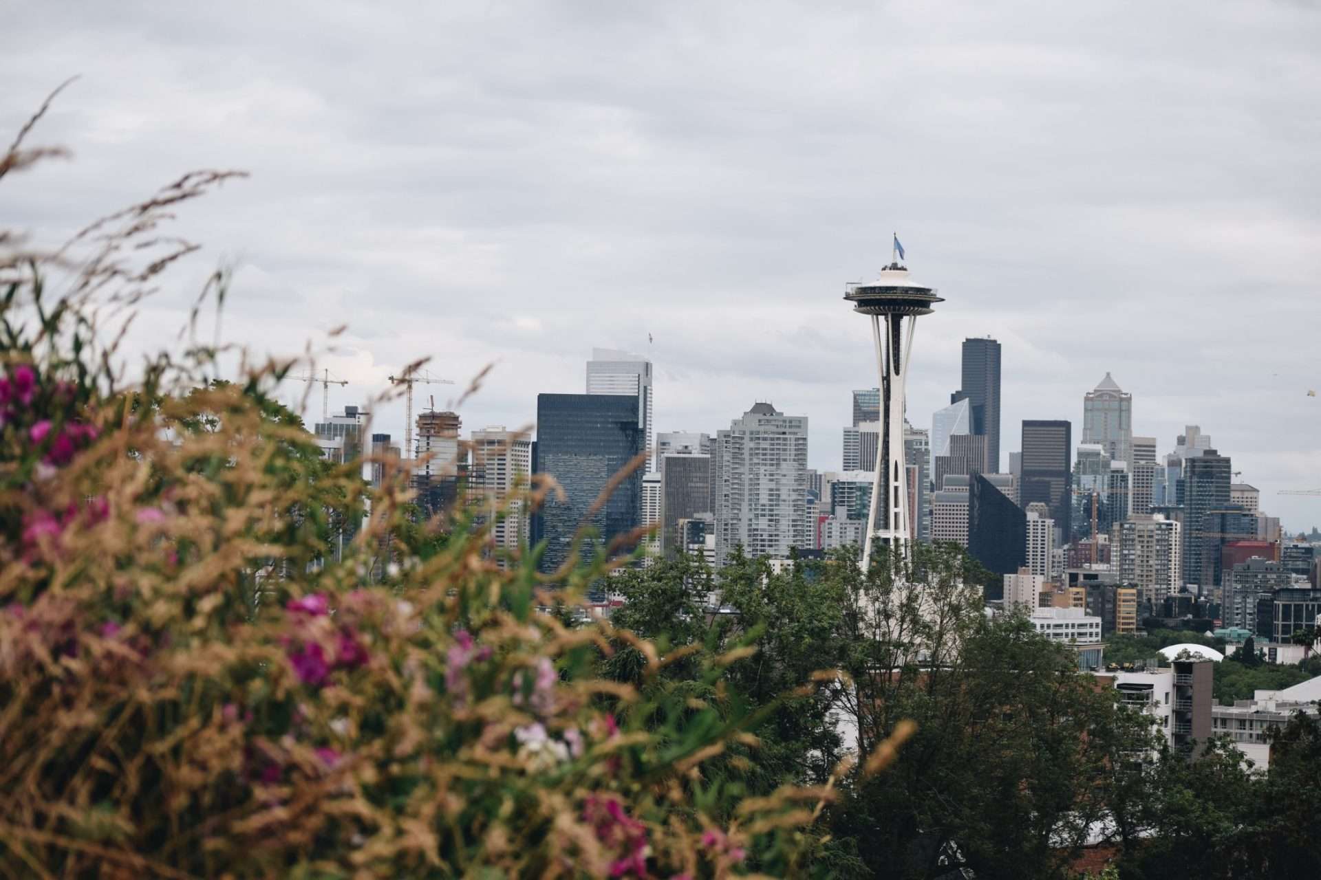 7 Awesome National Parks to Visit From Seattle