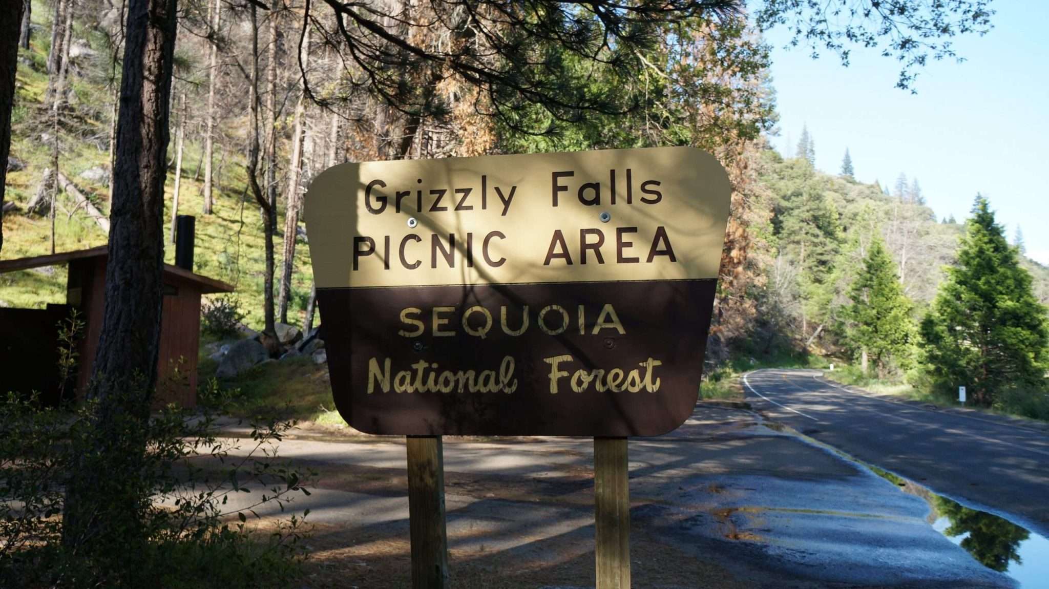 11 Best Spots for Sequoia National Park Camping