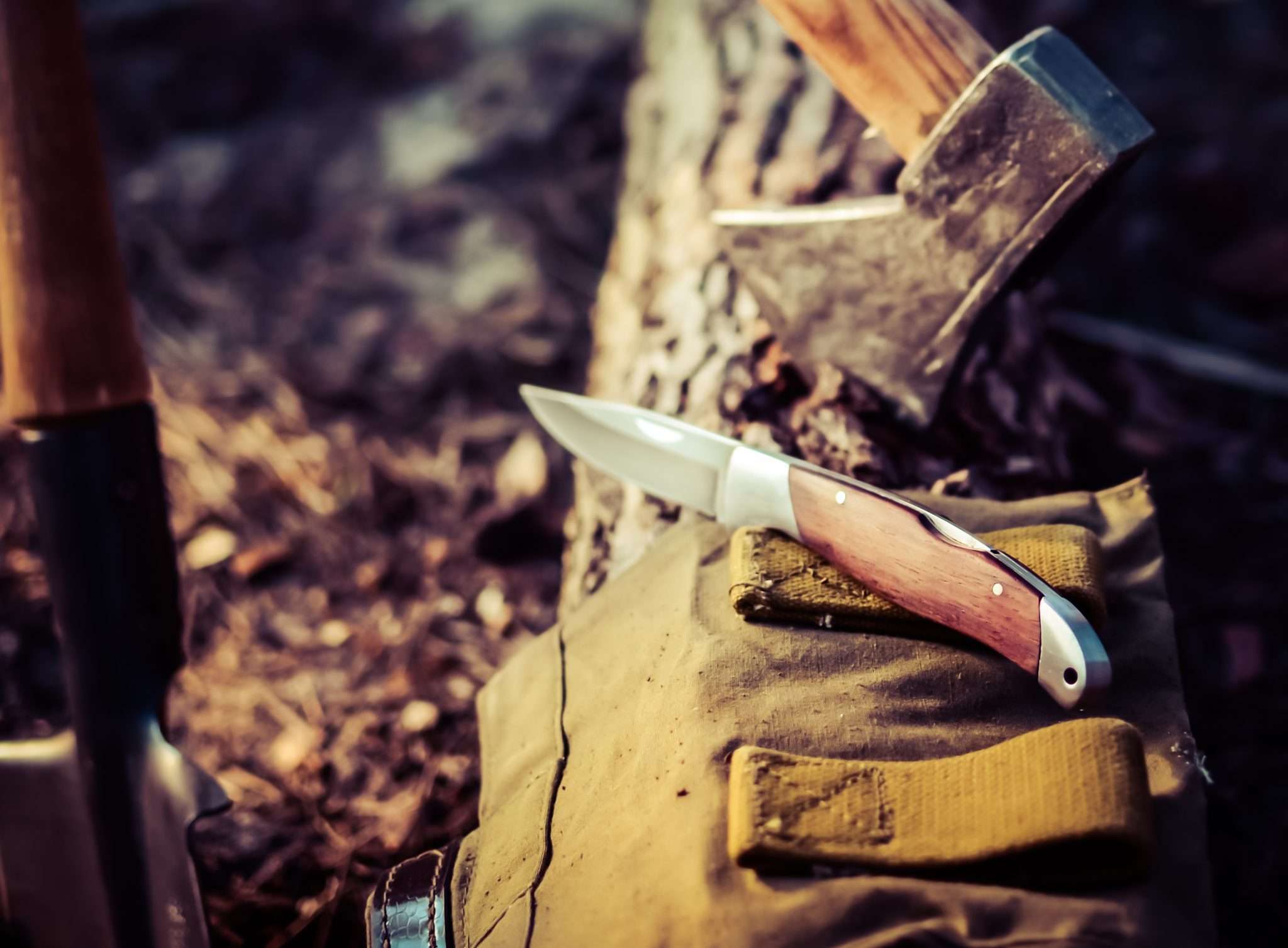 6 Best Survival Knives for Wilderness Adventures and Bushcraft
