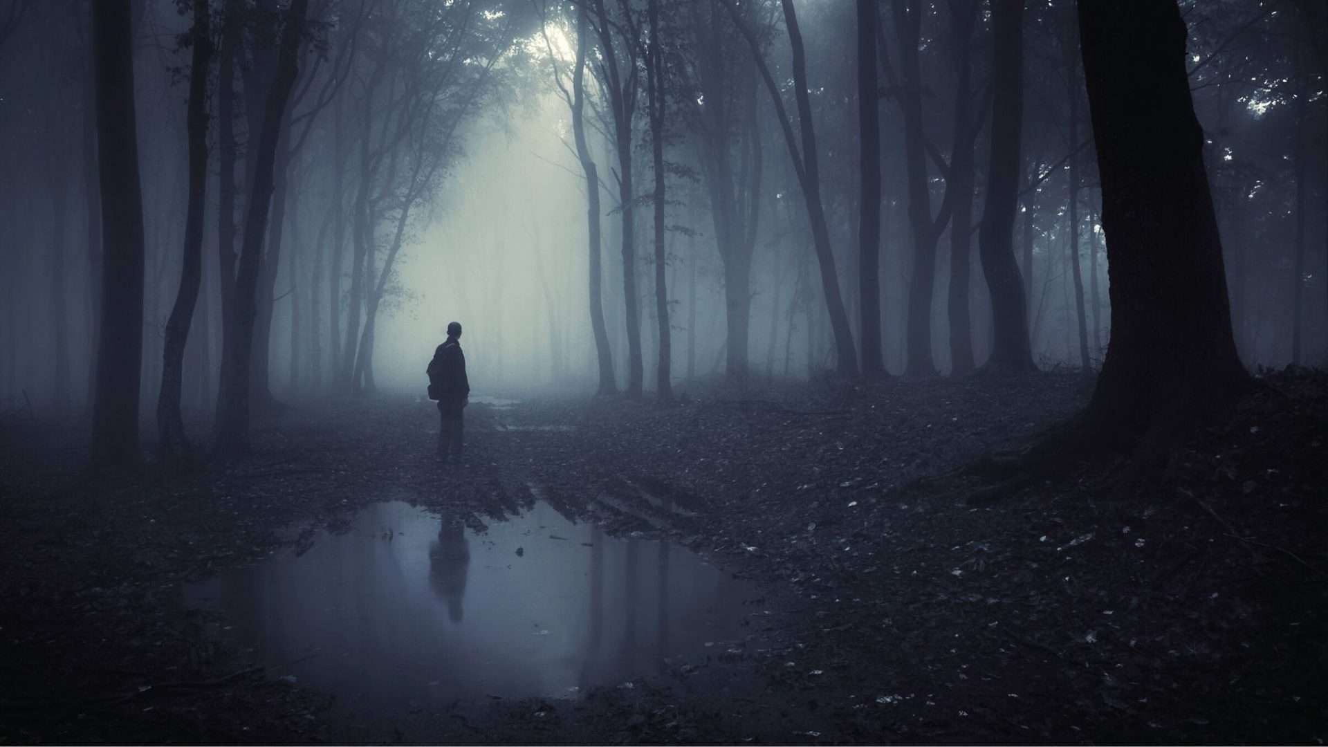 Do Feral People Live in the Smoky Mountains? - MOTM