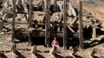 7 Best Ghost Towns in Colorado You Must See - MOTM