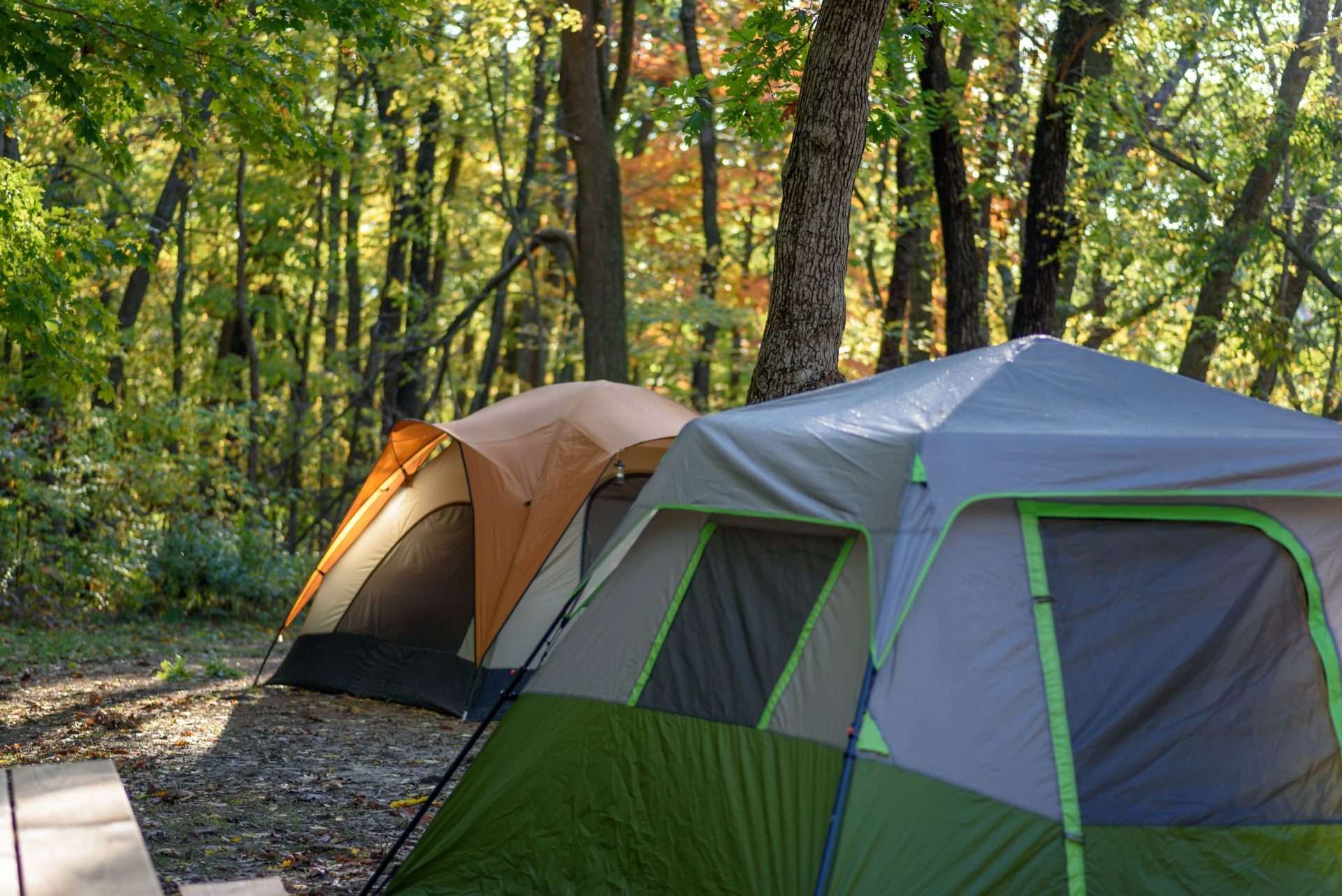 Fall Camping 101: Your Complete Guide to RV and Tent Camping in Autumn