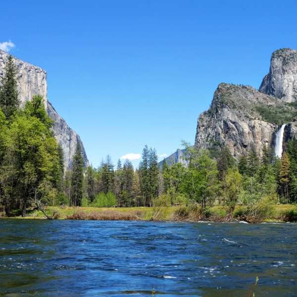 Can You Drive Your RV in Yosemite National Park?
