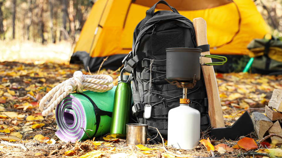 The 5 C's of Survival: What You Need to Know