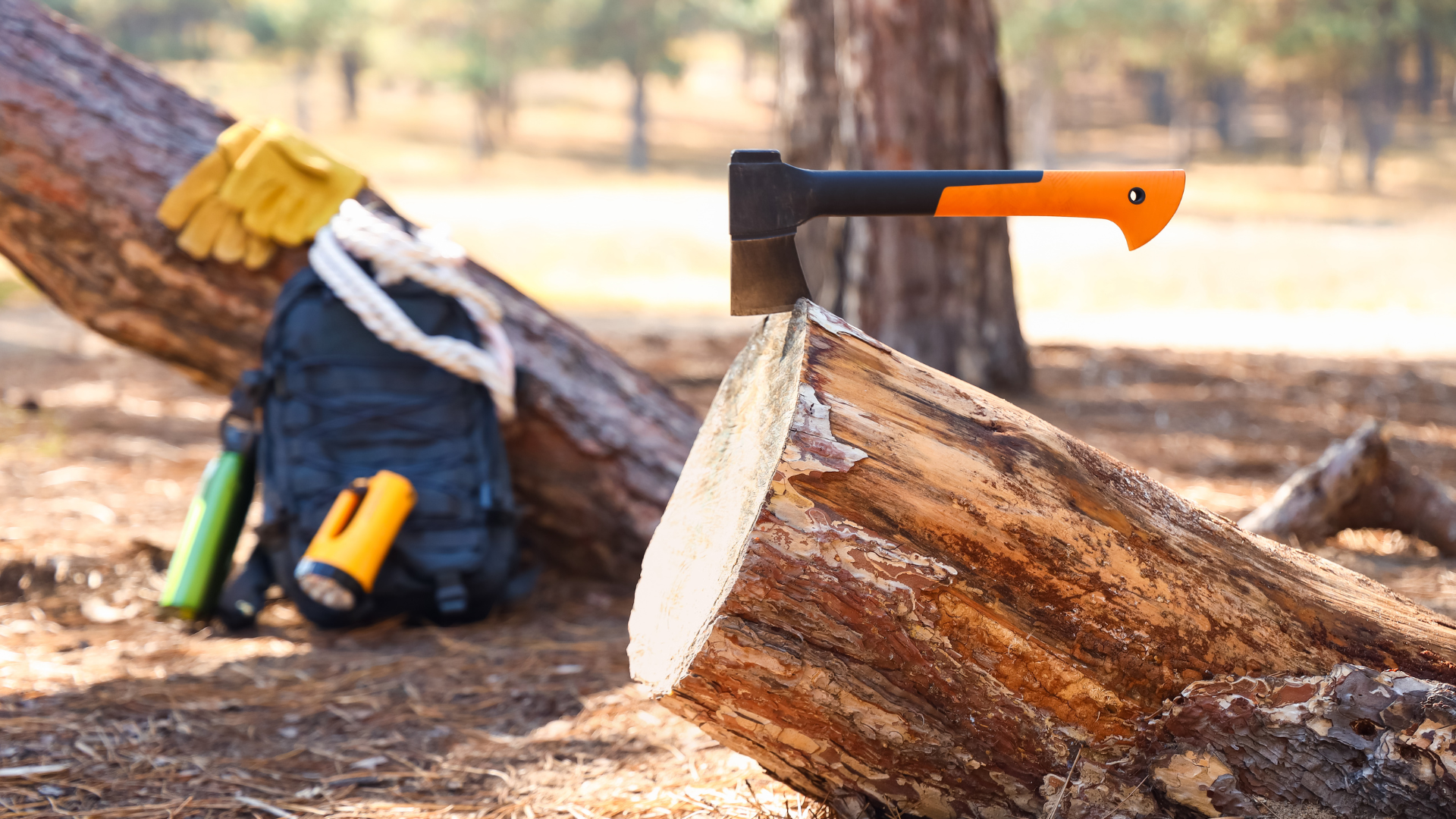 The 5 C's of Survival: What You Need to Know