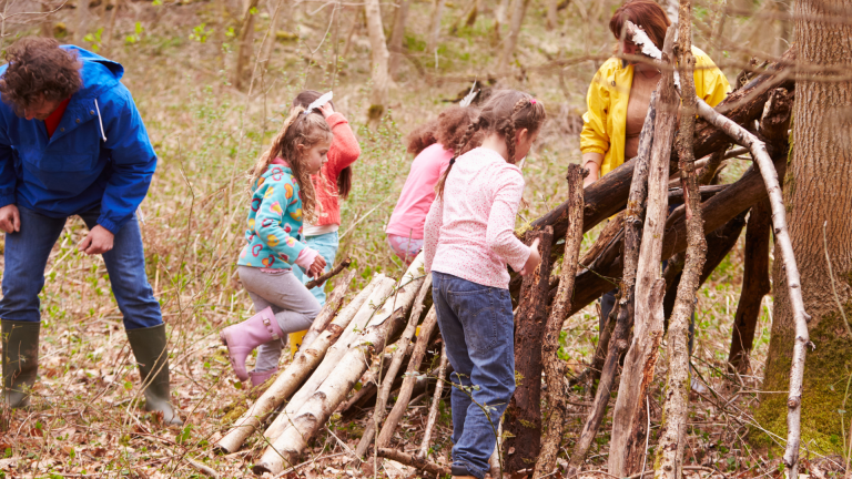 Bushcraft 101: How to Build a Survival Shelter in the Wilderness