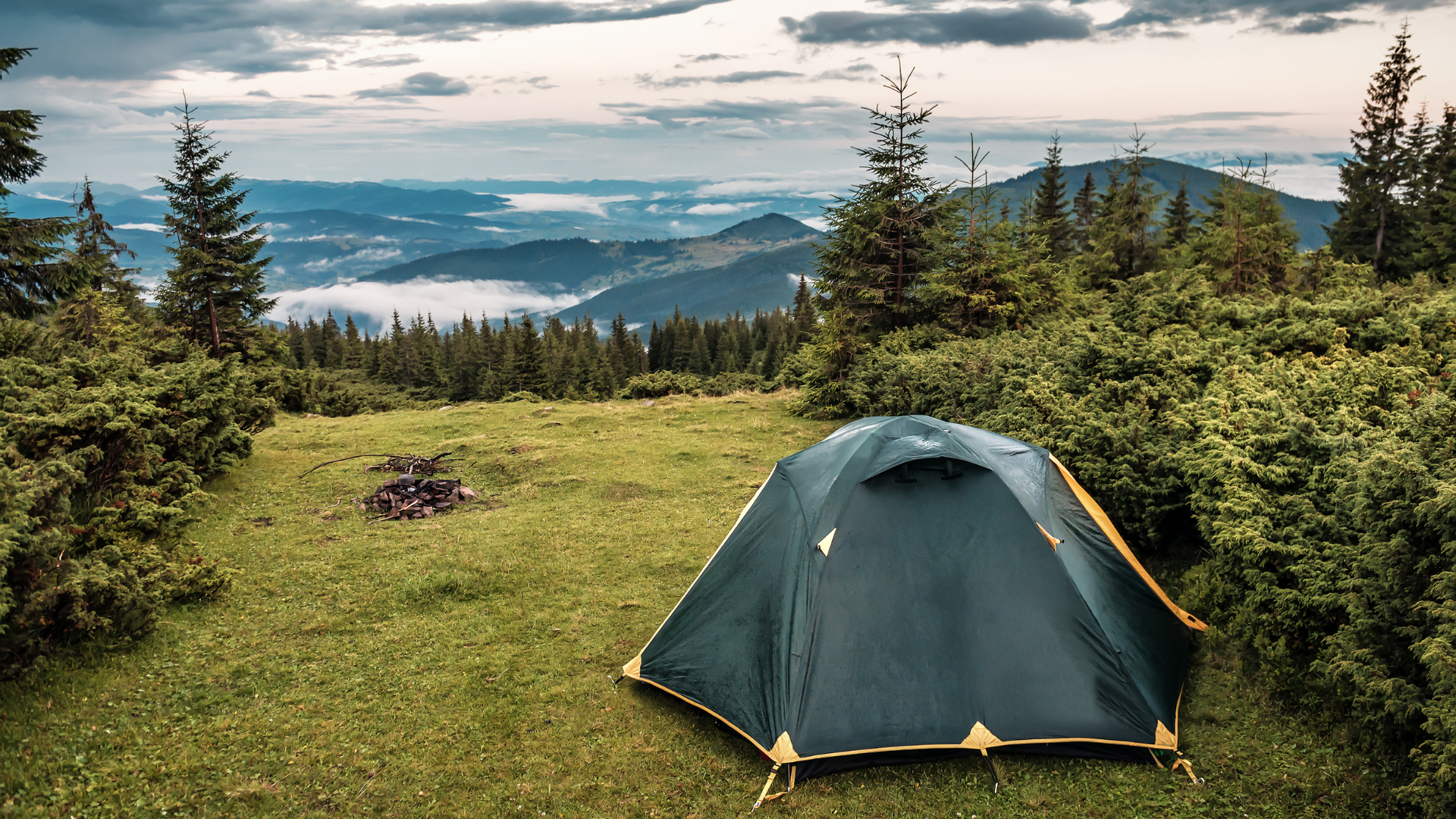 When Nature Calls in Nature: How to Poop in the Woods