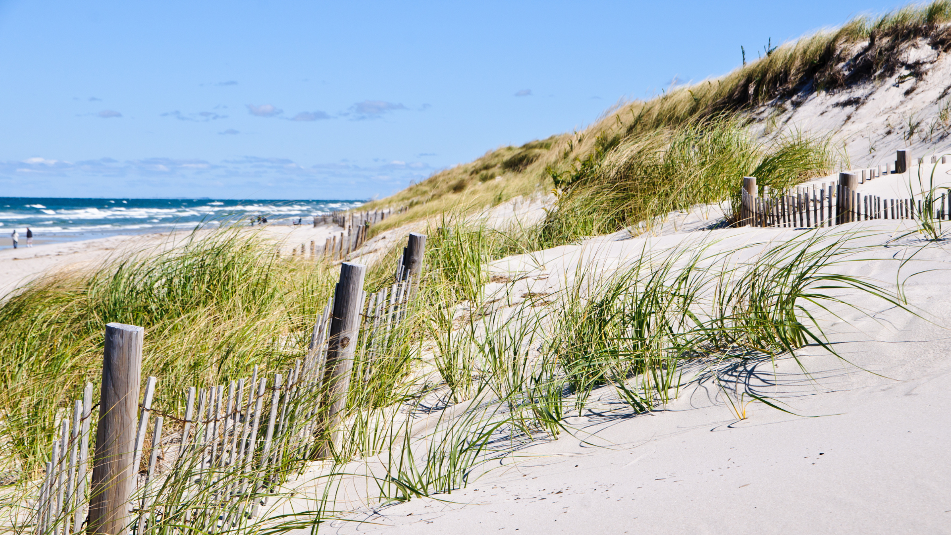 5 Amazing National Seashores You Need to Visit