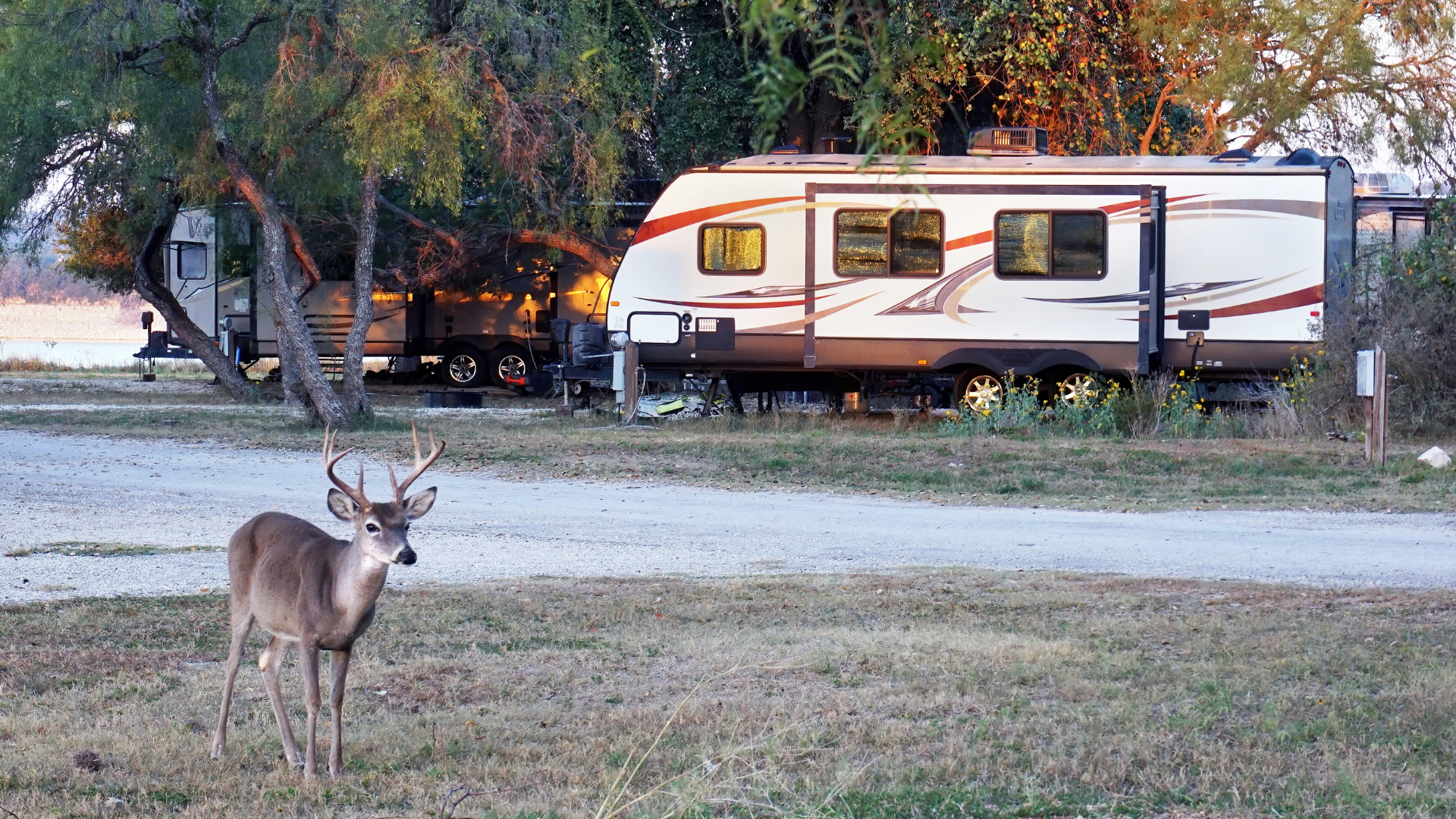 Discover the 10 Best Spots for Camping in Houston