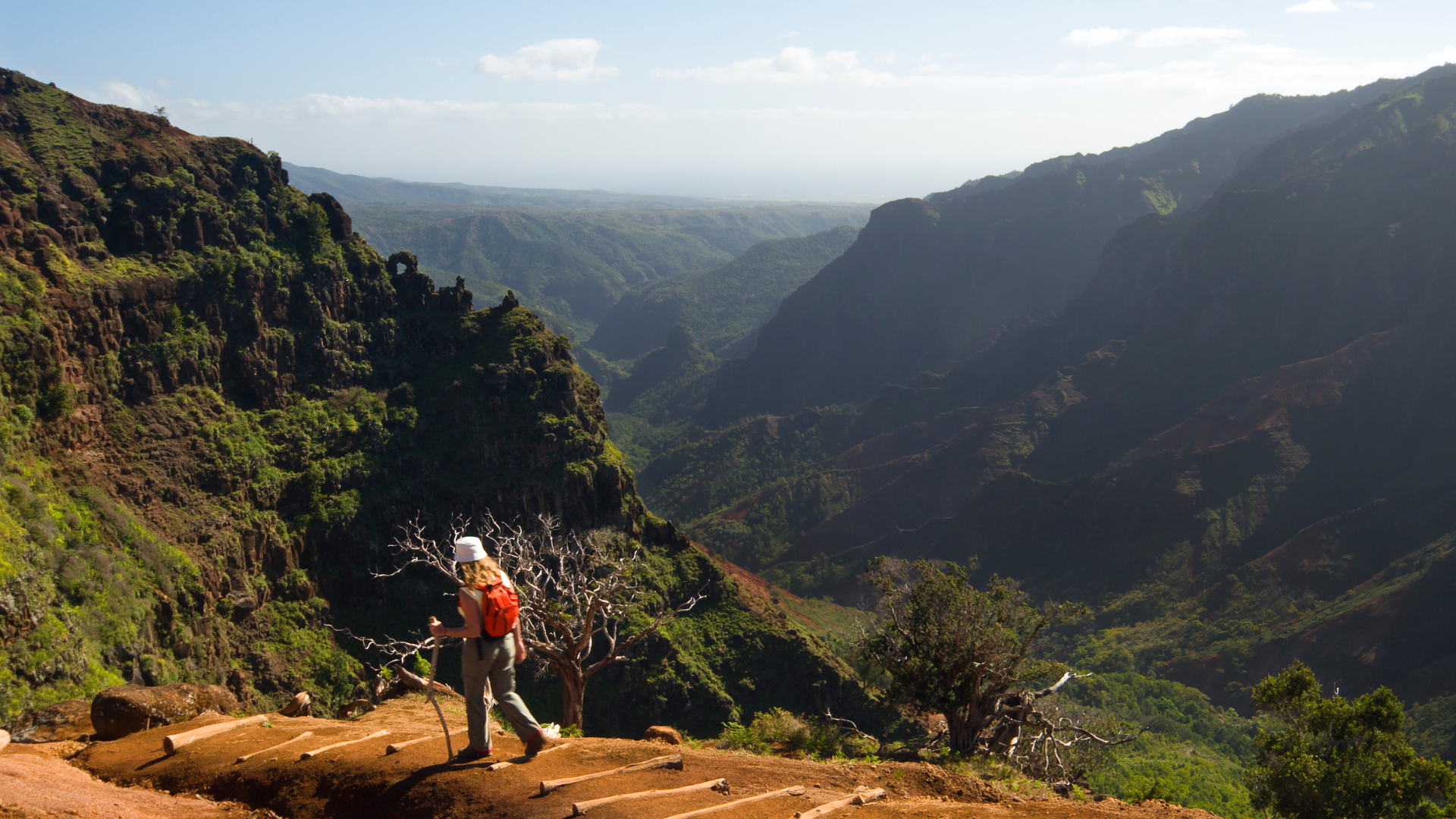 Exploring the Majestic Waimea Canyon With the Best Hikes