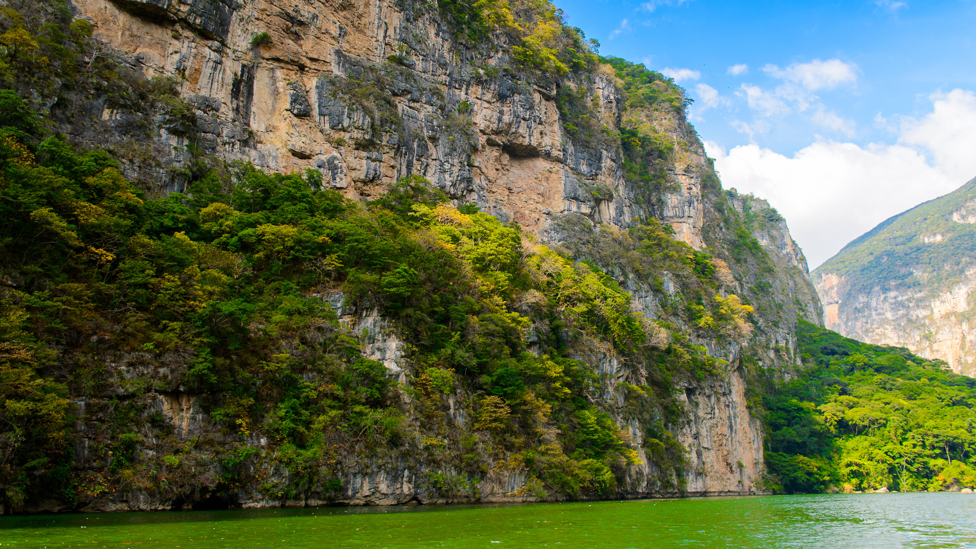 9 National Parks in Mexico That Are Definitely Worth Visiting