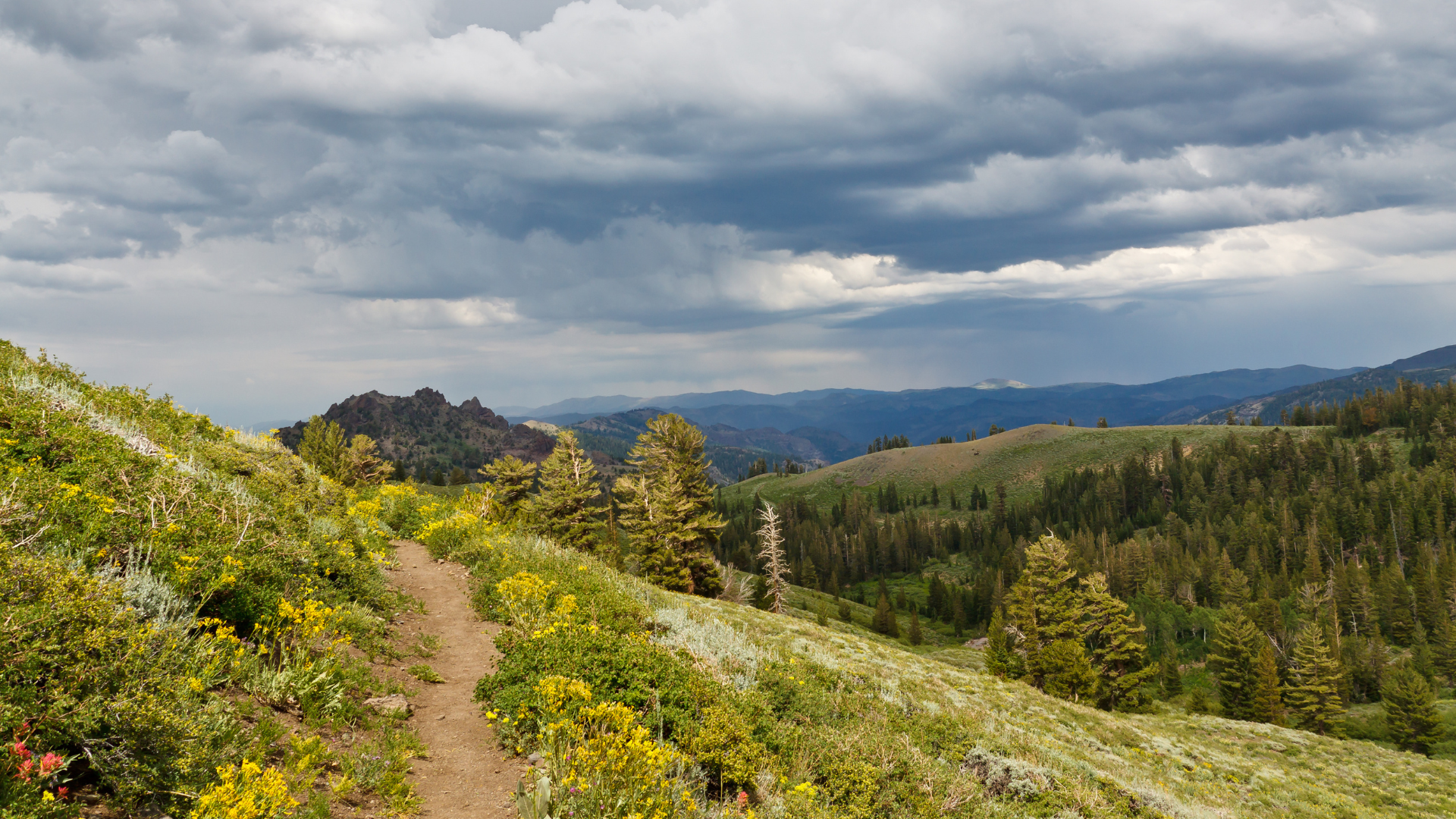 From Desert to Mountains: The Adventure of Hiking the Pacific Crest Trail
