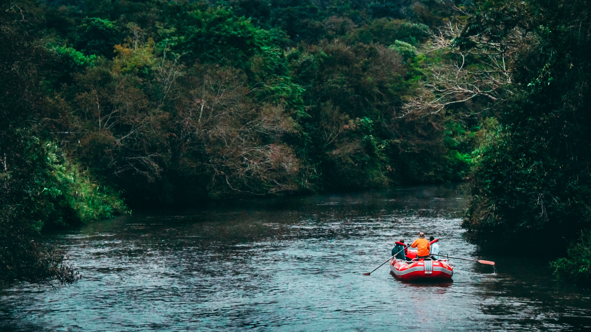 8 Wild and Scenic Rivers So Beautiful They're Under Special Protection