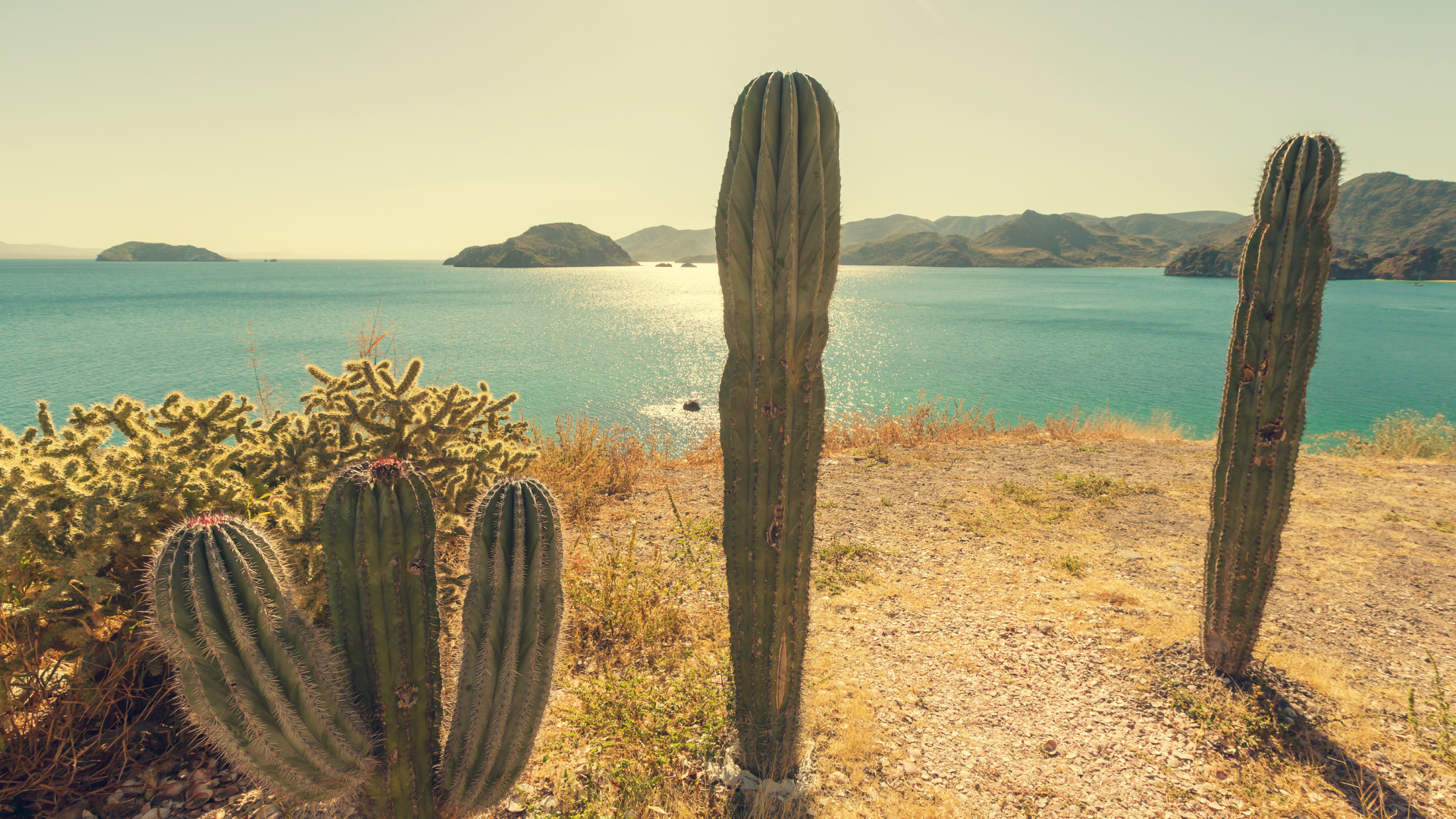 9 National Parks in Mexico That Are Definitely Worth Visiting