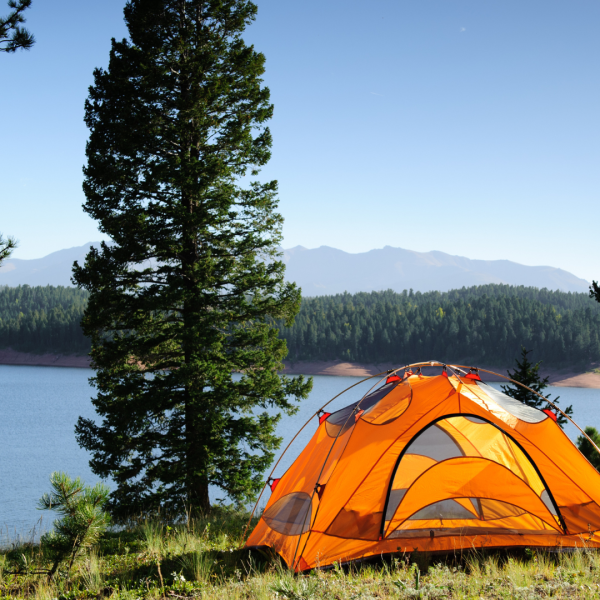 12 Best Camping Spots Near Mammoth Lakes Revealed