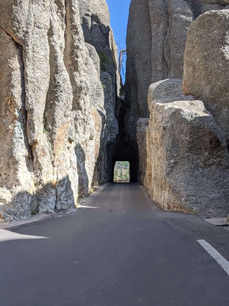The Needles Highway: A Scenic Drive Through South Dakota's Iconic Landmarks