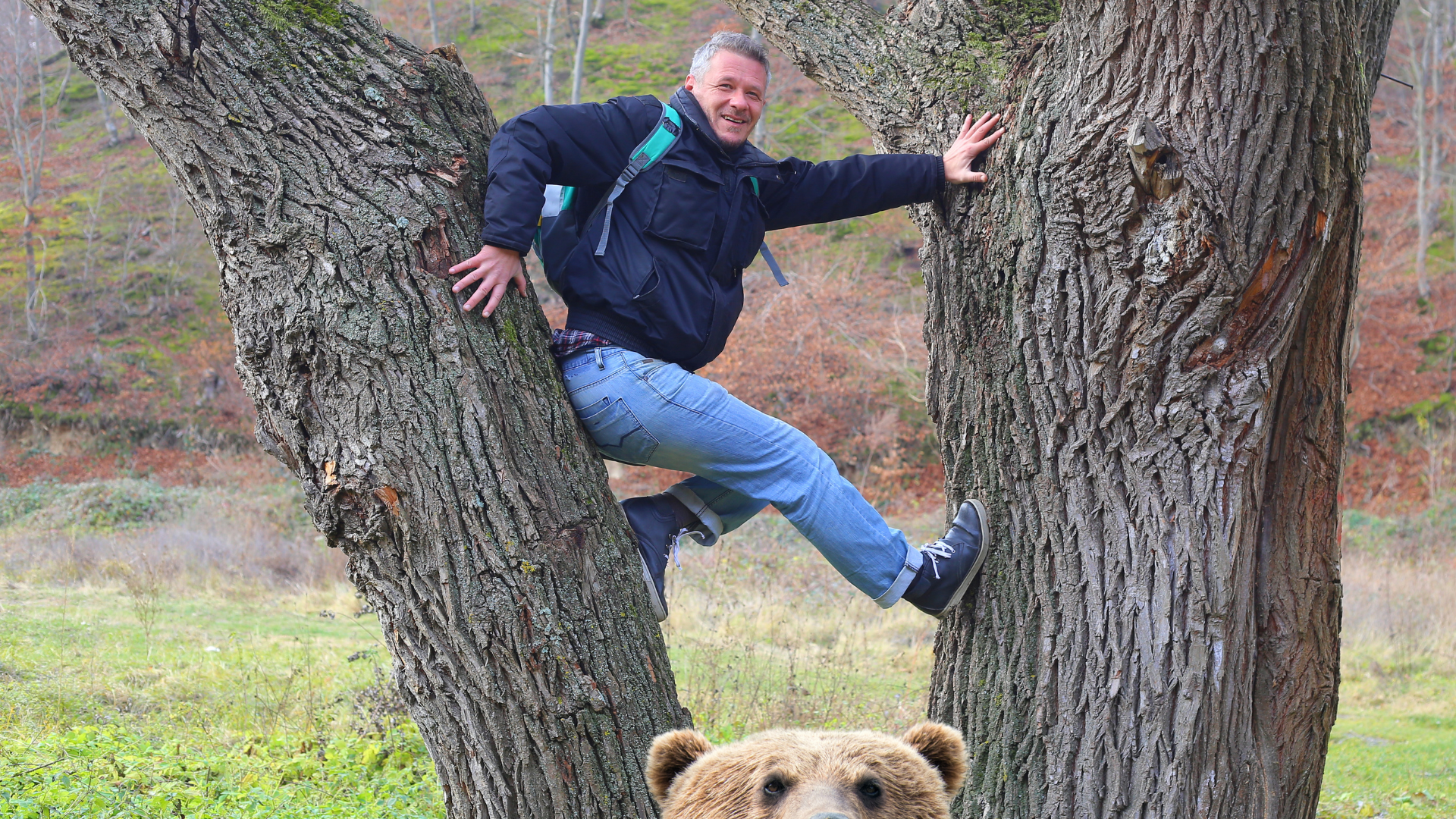 Bear Encounter Survival: Should You Climb a Tree?