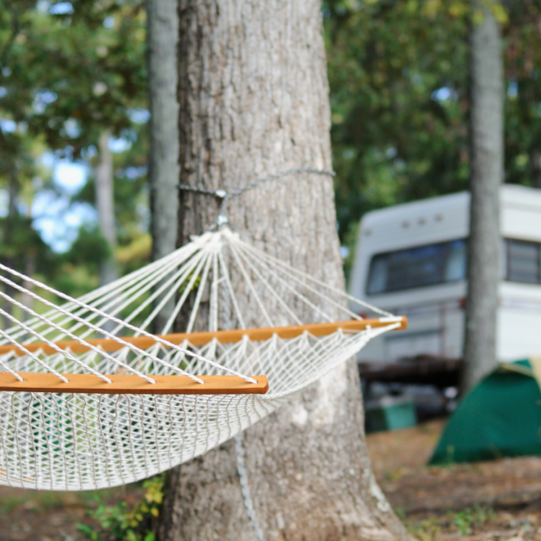 8 Best Wisconsin State Parks for Camping in the Midwest