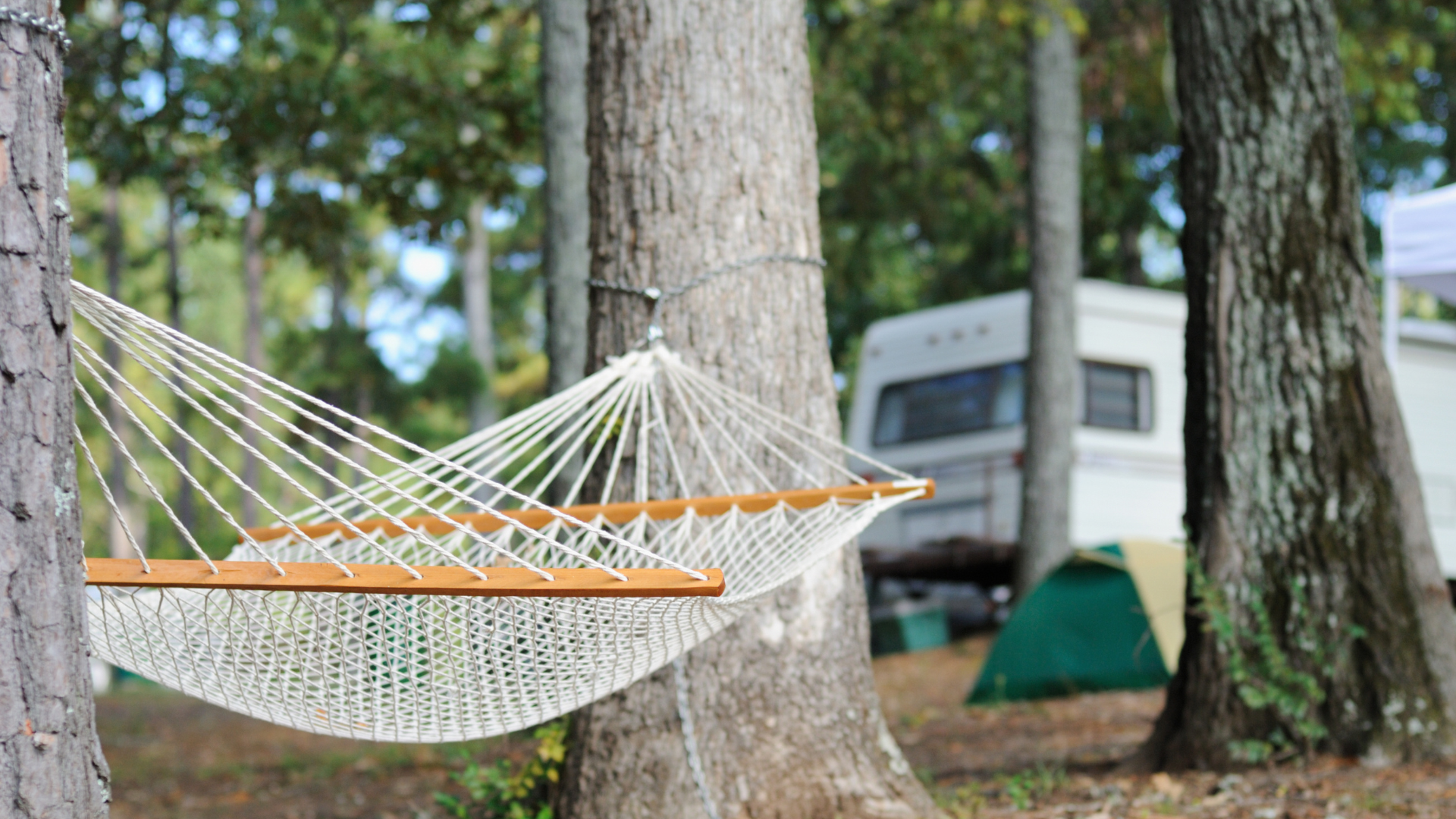 8 Best Wisconsin State Parks for Camping in the Midwest