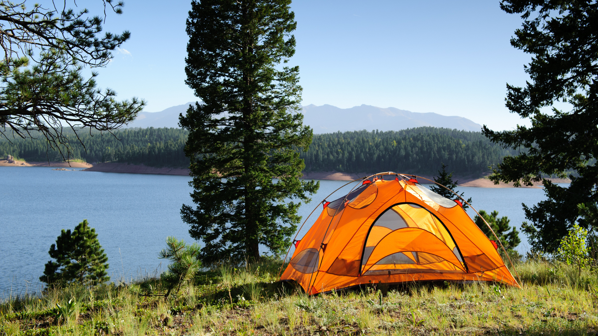8 Best Wisconsin State Parks for Camping in the Midwest
