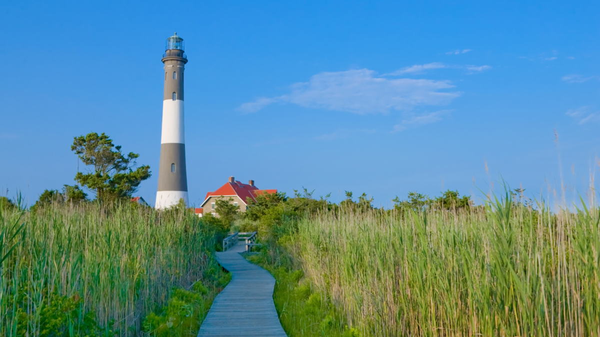 Fire Island National Seashore: New York's Natural Haven