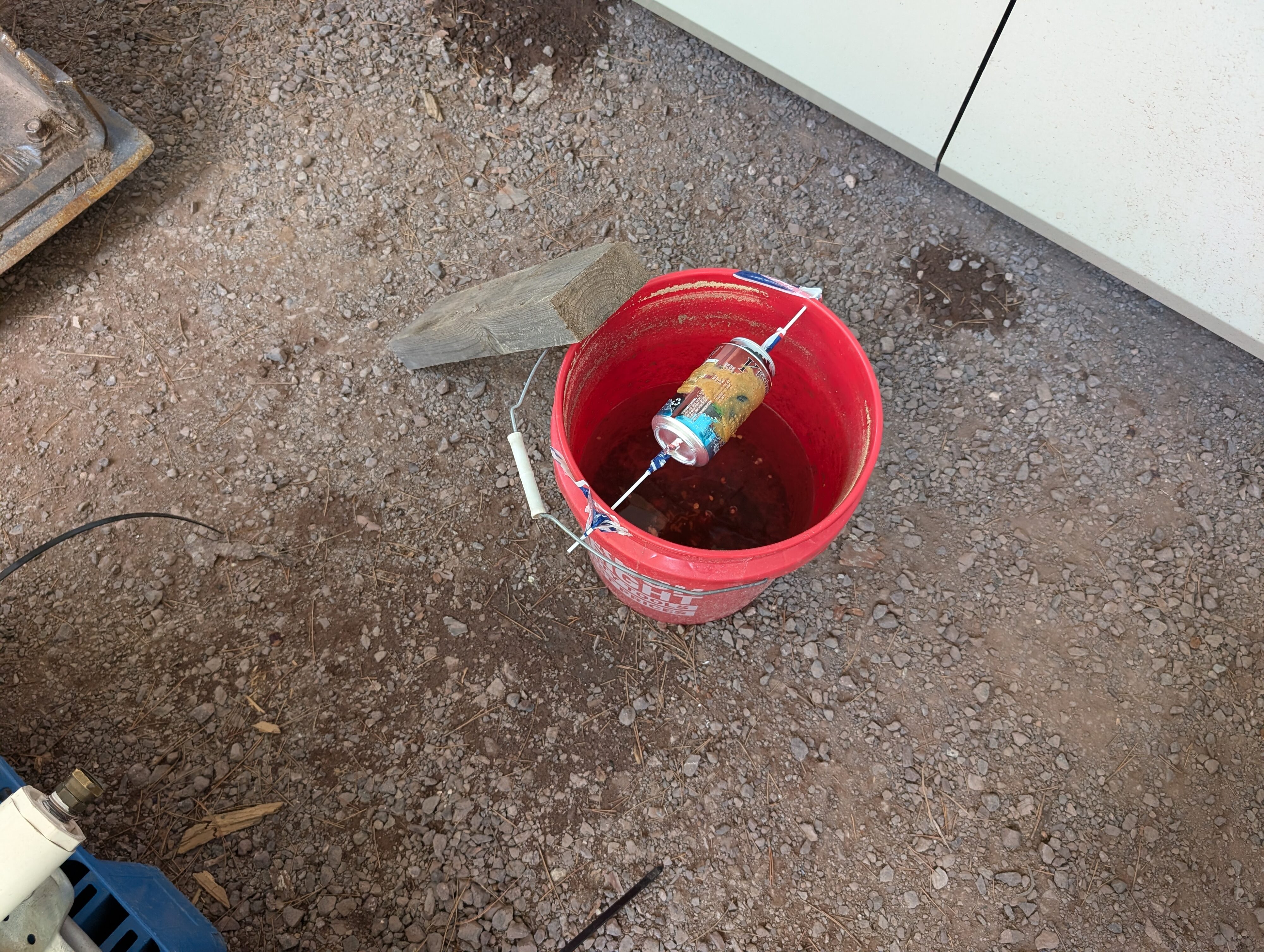 The Ultimate RV Mice and Rodent Control Method (It Really Works!)