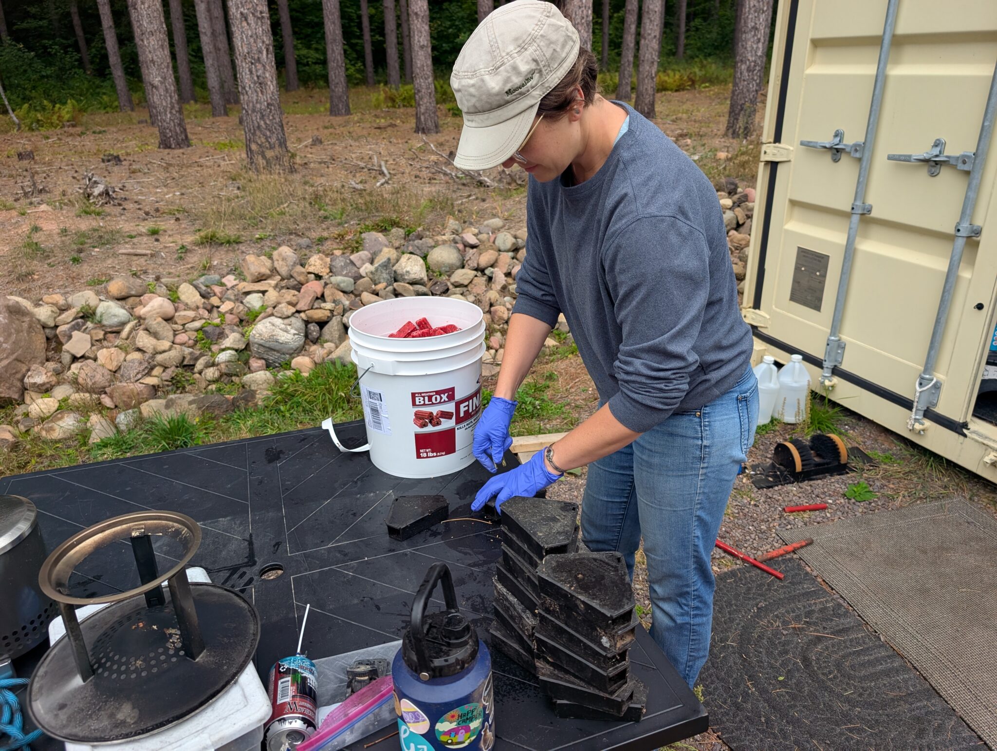 The Ultimate RV Mice and Rodent Control Method (It Really Works!)