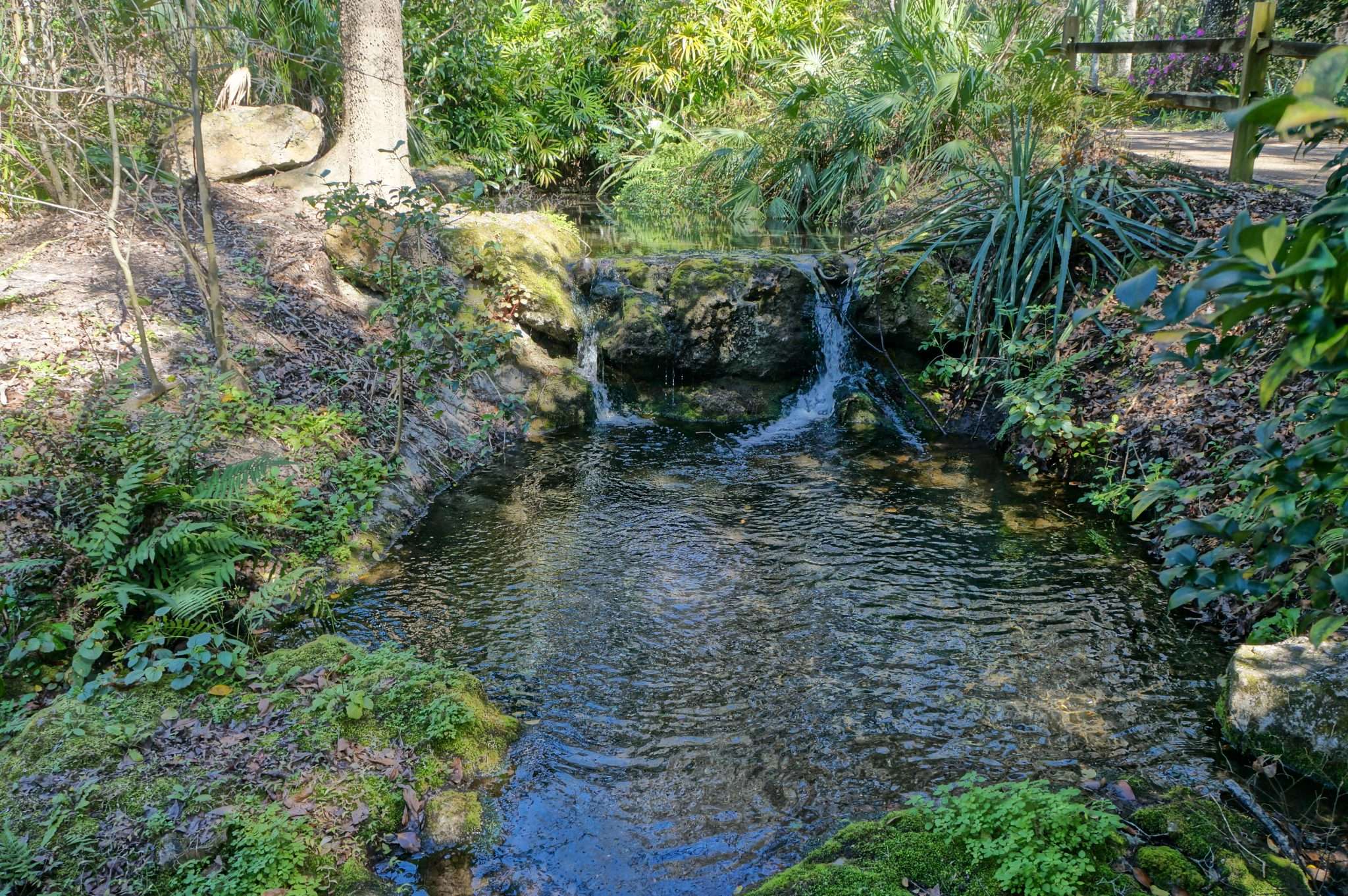Florida's Hidden Gems: Exploring the State's 8 Most Impressive Caves