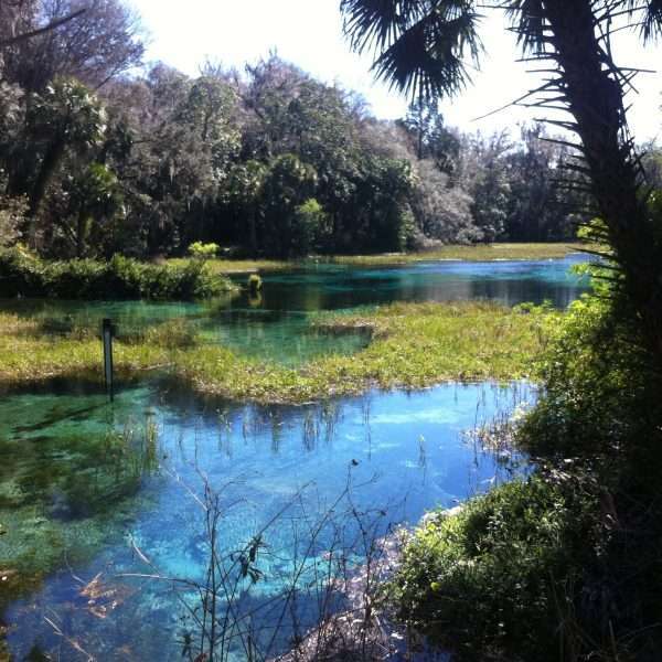 Florida's Hidden Gems: Exploring the State's 8 Most Impressive Caves