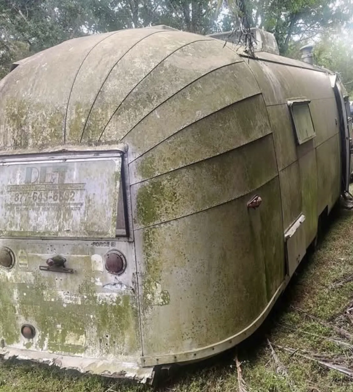 Mold vs. Mildew In Your Camper: What's the Difference and Does It Matter?