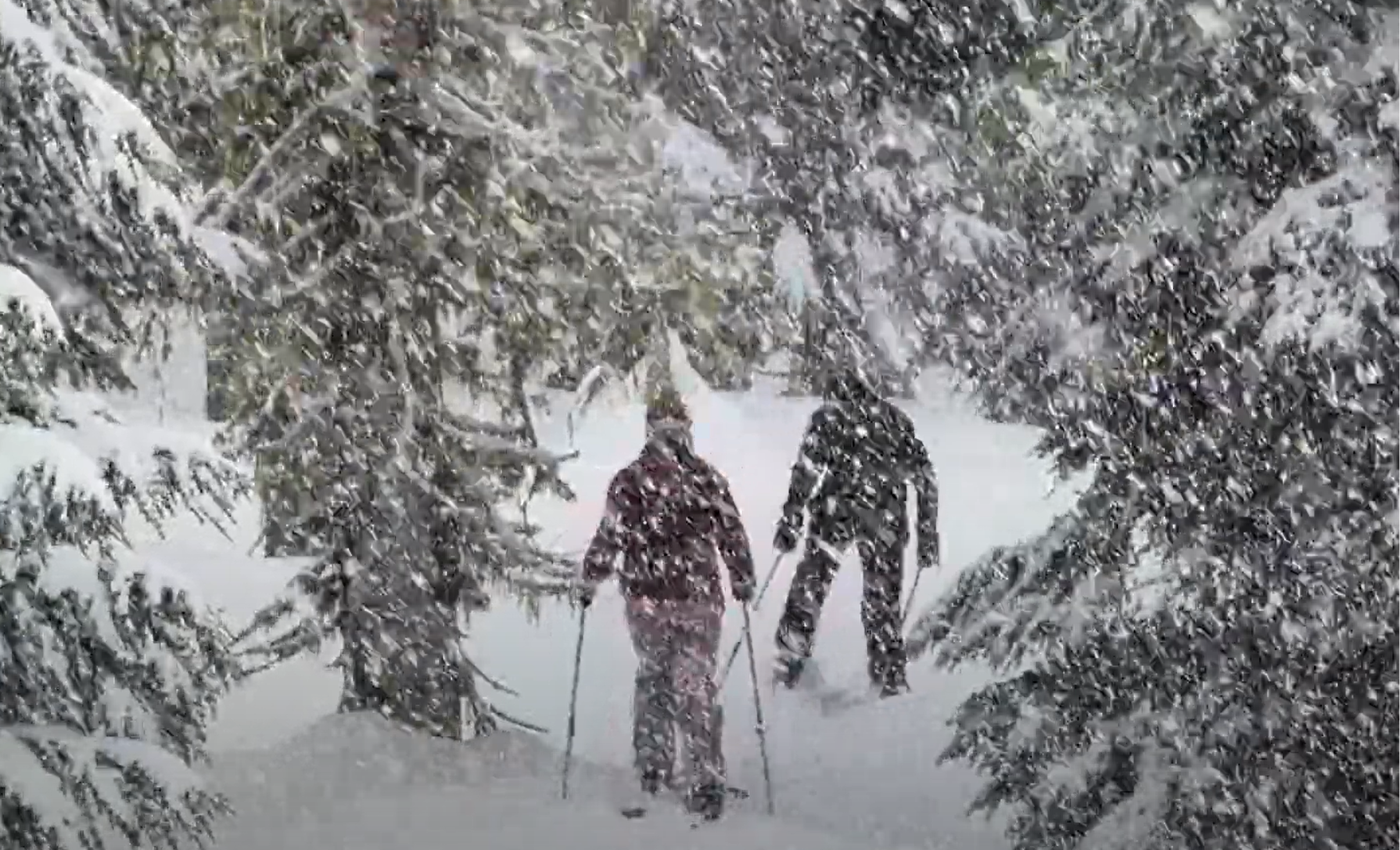 8 Essential Cold Weather Survival Skills for Winter Recreation and Travel